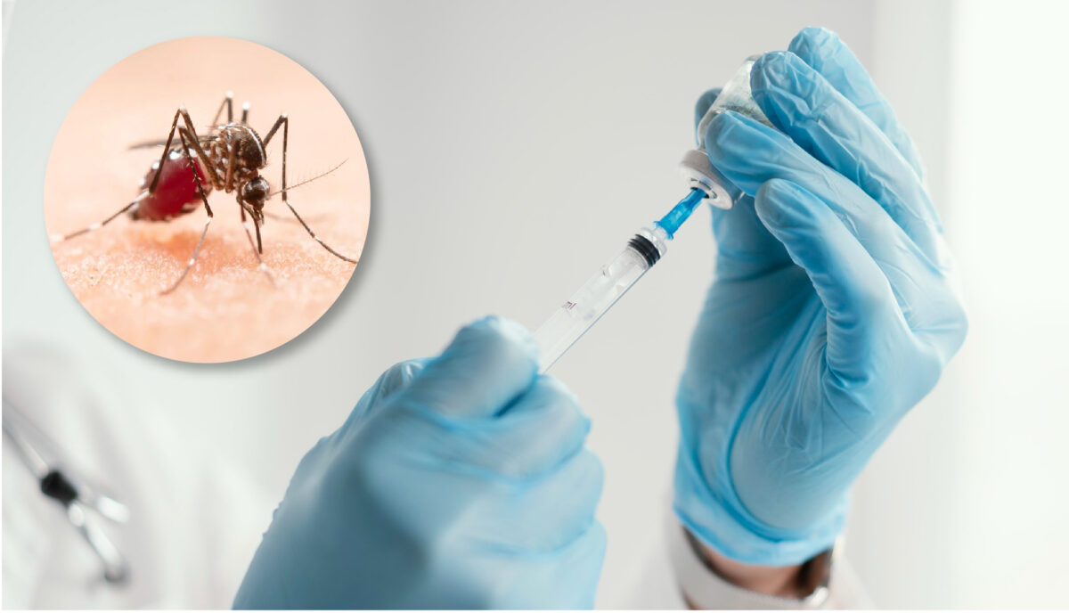 La EMA respalda una vacuna tetravalente contra el dengue en mayores de ...
